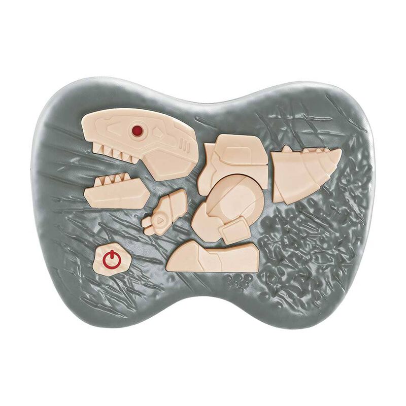 Dinosaurio Raptor Ou Rui | Abc