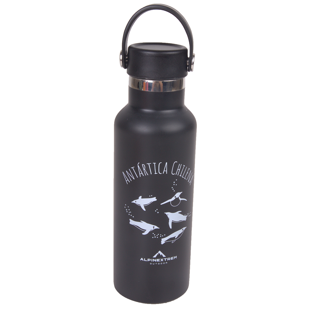 Botella Alpinextrem ST Steel | Abc